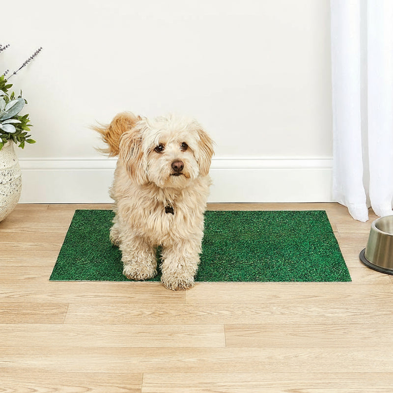 Drymate® Dog Potty Pad-Reusable, Absorbent, Waterproof, Slip-Resistant ...