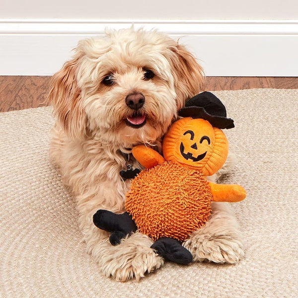 Giggling Pumpkin Halloween Dog Toy | LTD Commodities