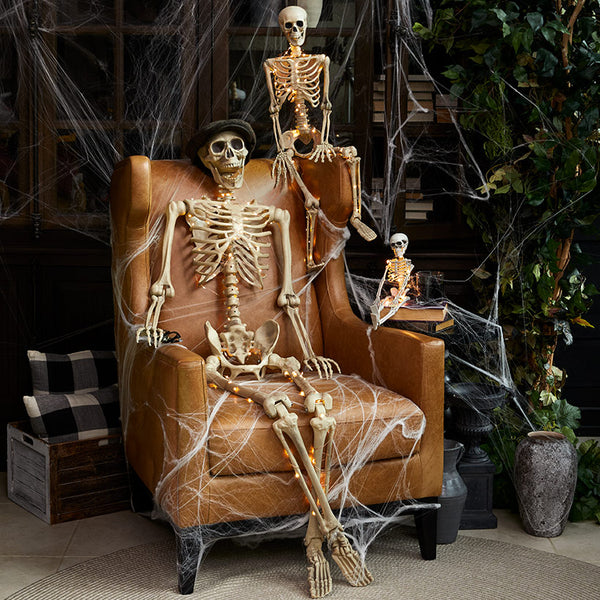 Halloween Skeleton Poseable Lighted Decor 16 Inch 35 Inch and 65 Inch ...