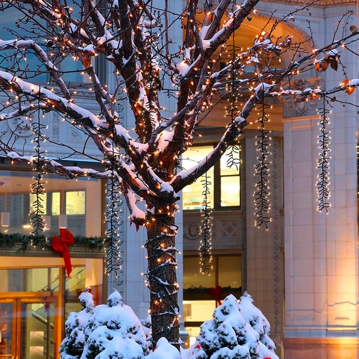 Lighticle Lights | LTD Commodities